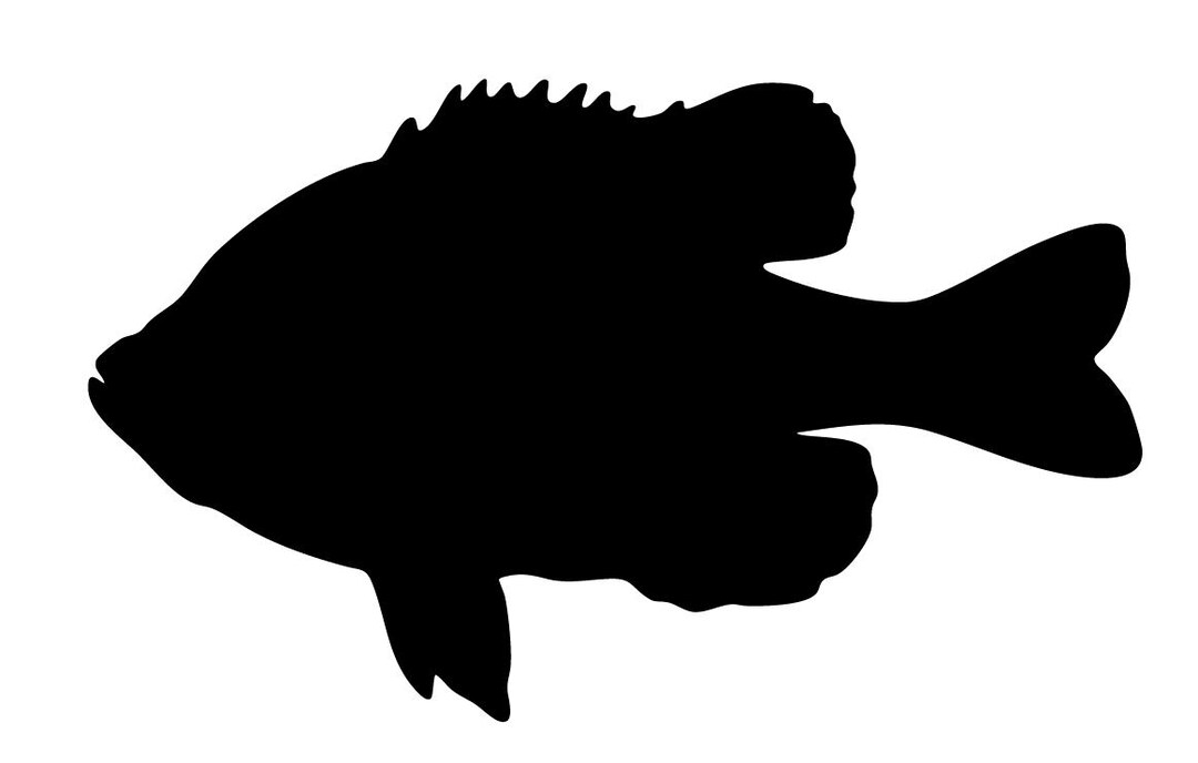 Bluegill Sunfish Fish Silhouette SVG File - Etsy