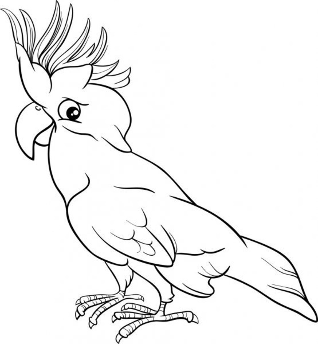 Cockatoo Bird SVG File - Etsy