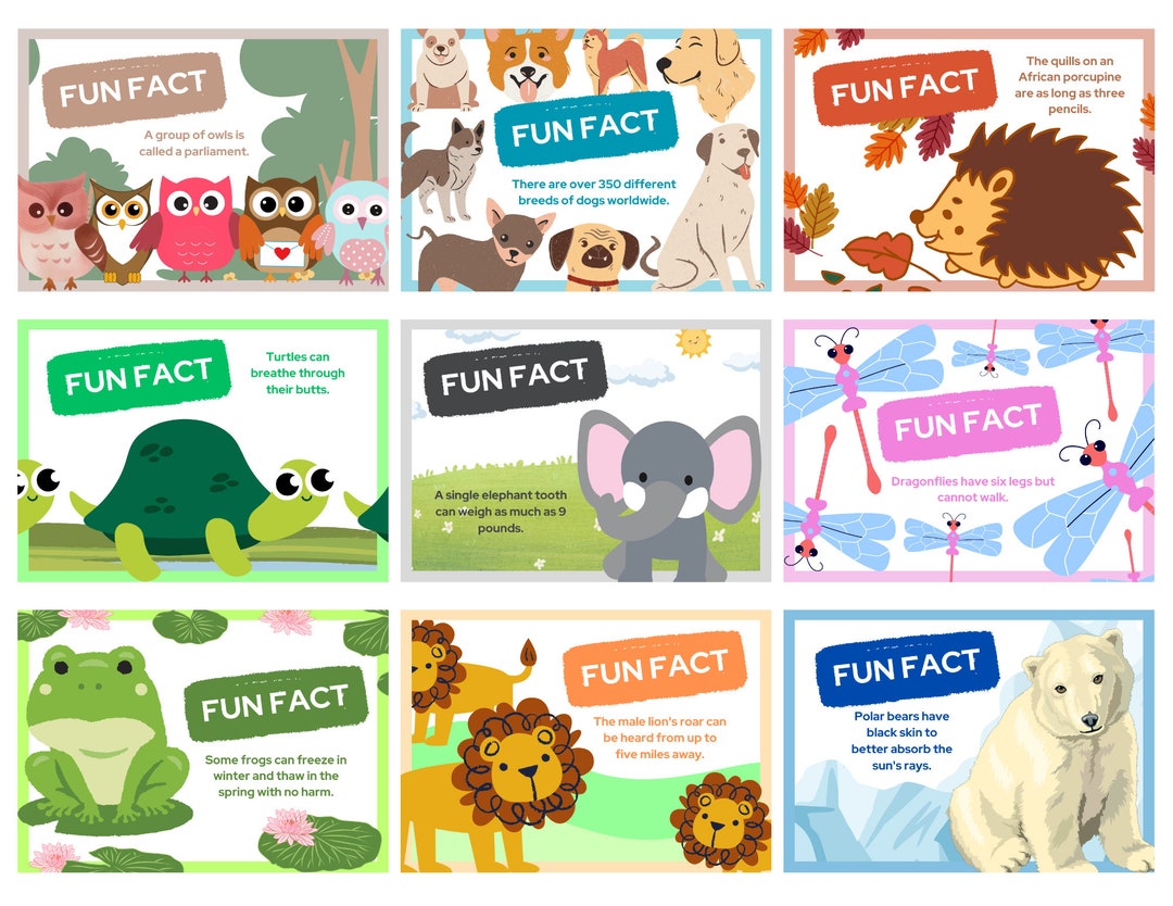 50 Printable Fun Fact Cards for Kids, Instant Download Fun Fact Cards ...