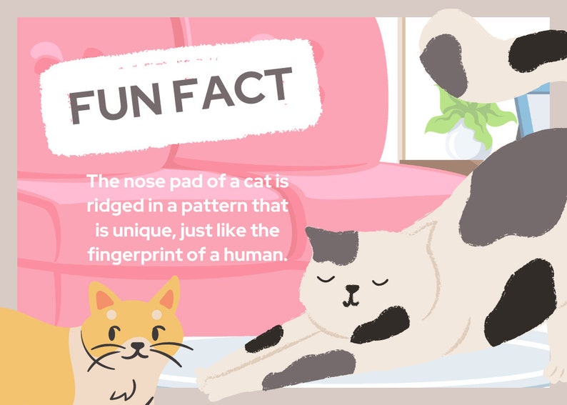 50 Printable Fun Fact Cards for Kids, Instant Download Fun Fact Cards ...