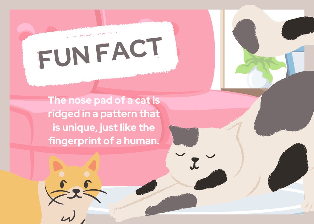 50 Printable Fun Fact Cards for Kids, Instant Download Fun Fact Cards ...