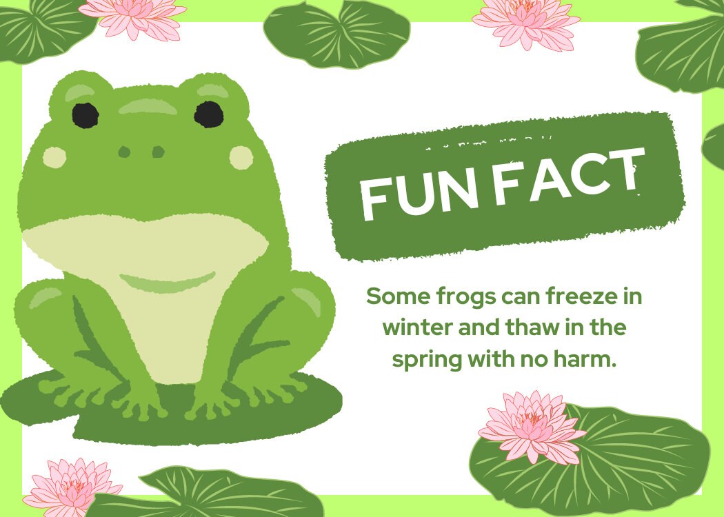 50 Printable Fun Fact Cards for Kids, Instant Download Fun Fact Cards ...