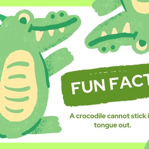 50 Printable Fun Fact Cards for Kids, Instant Download Fun Fact Cards ...