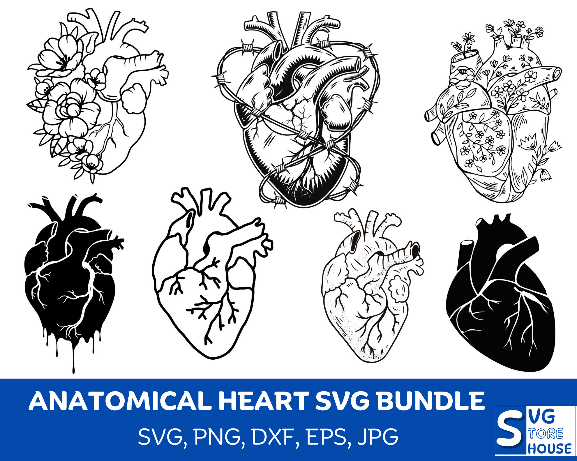 Anatomical Heart Svg Bundle, Flower Heart Svg, Human Heart Svg, Anatomy ...