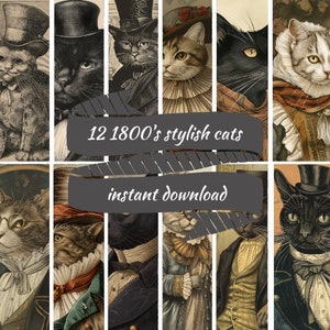 Vintage 1800s Cat Illustrations: High-quality Digital Art Collection ...