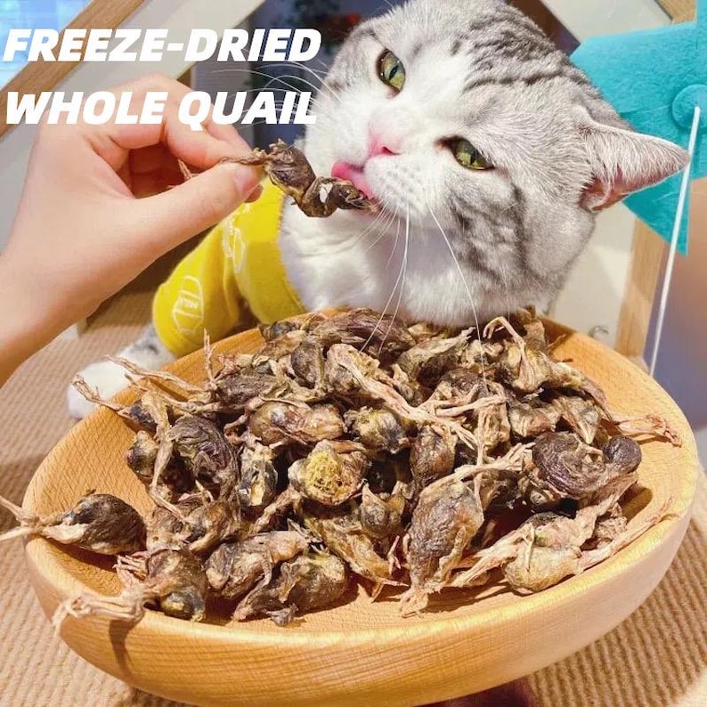 Freeze-dried Whole Quail Snacks for Cats & Dogs - All-natural, Crunchy ...