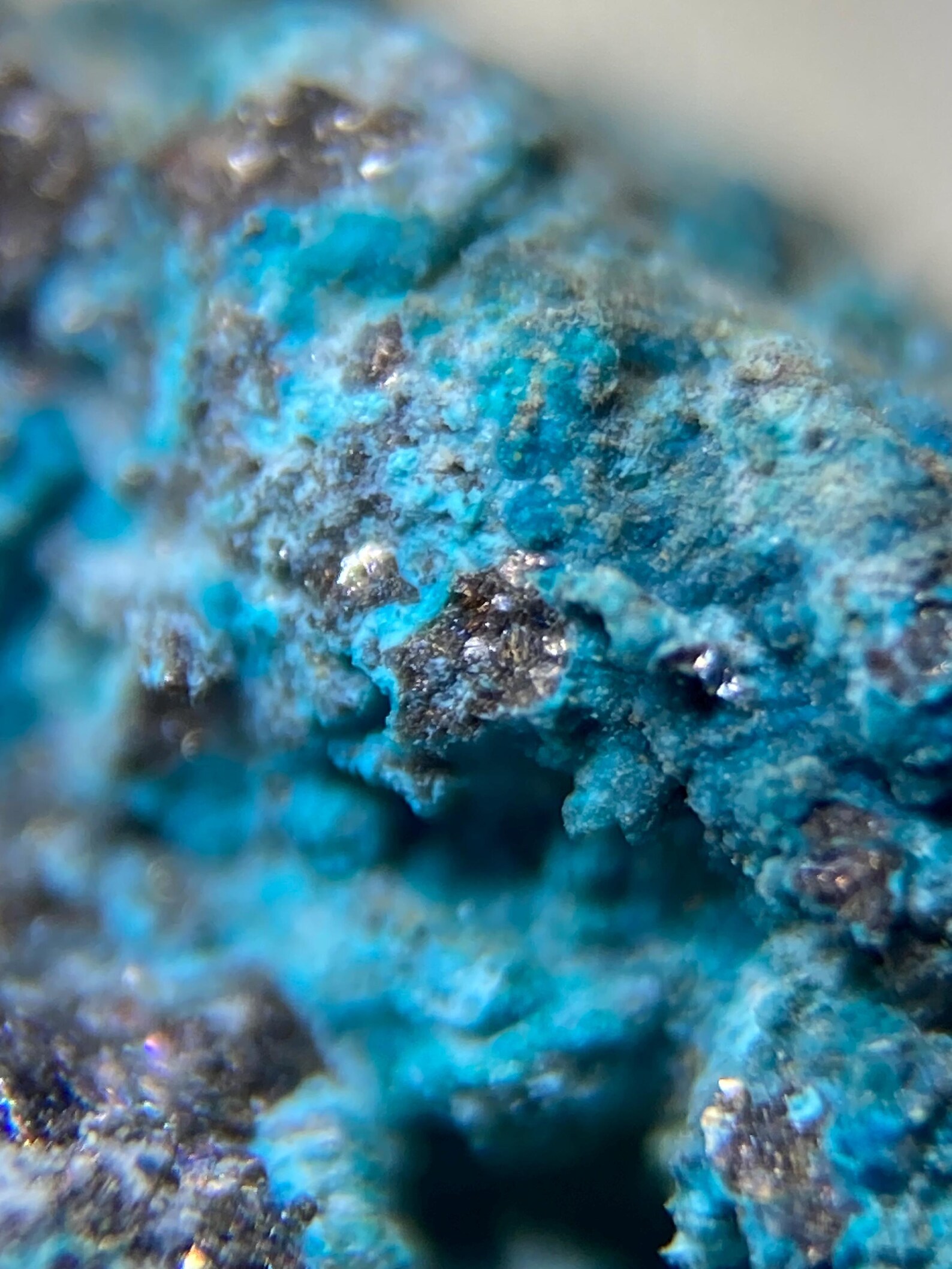 Yvonite Blue Crystals Mineralspecimen - Salsigne Frankrijk Europe ...