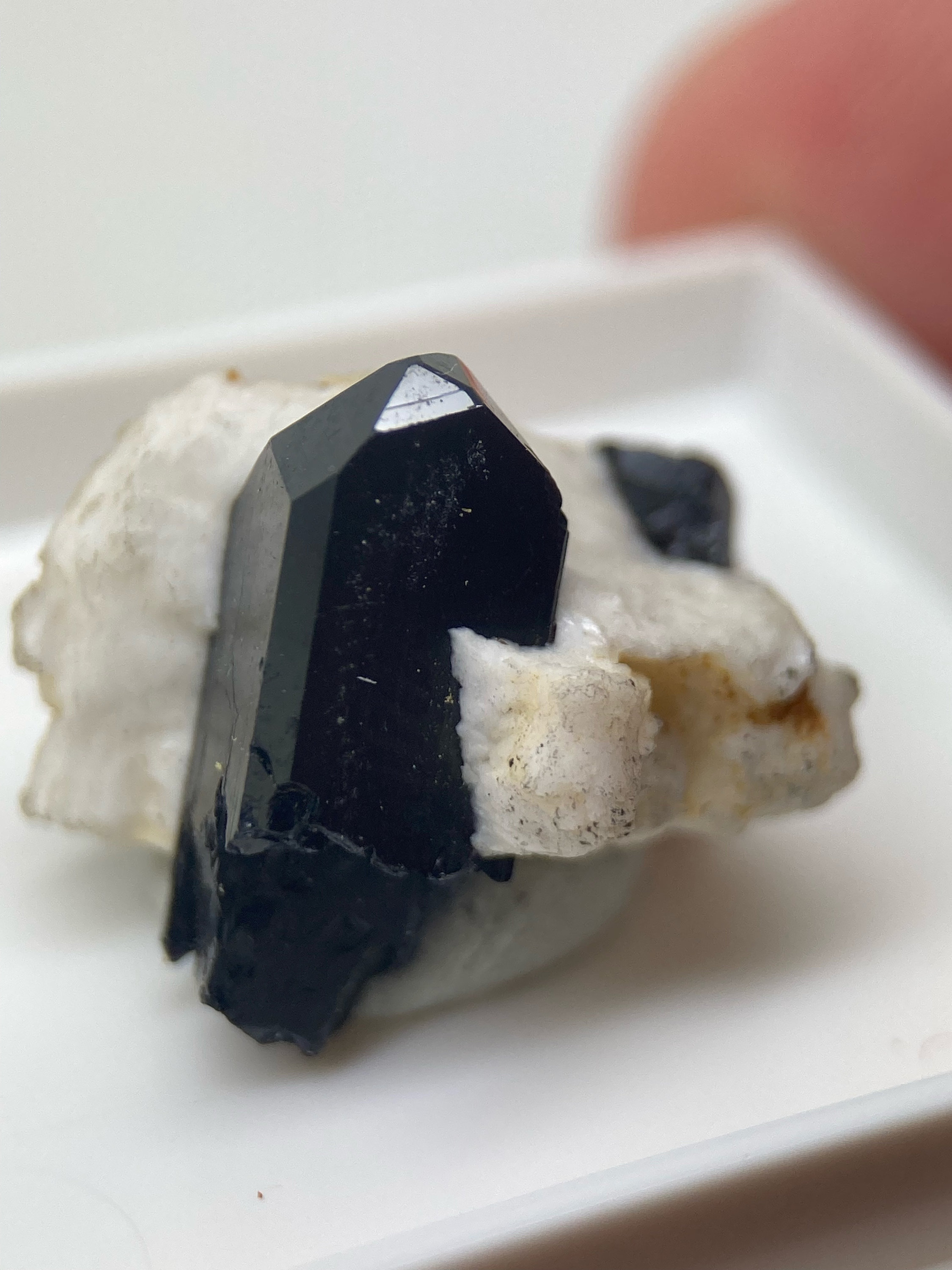 Terminated Neptunite Crystal on Matrix, San Benito Co, California, USA ...