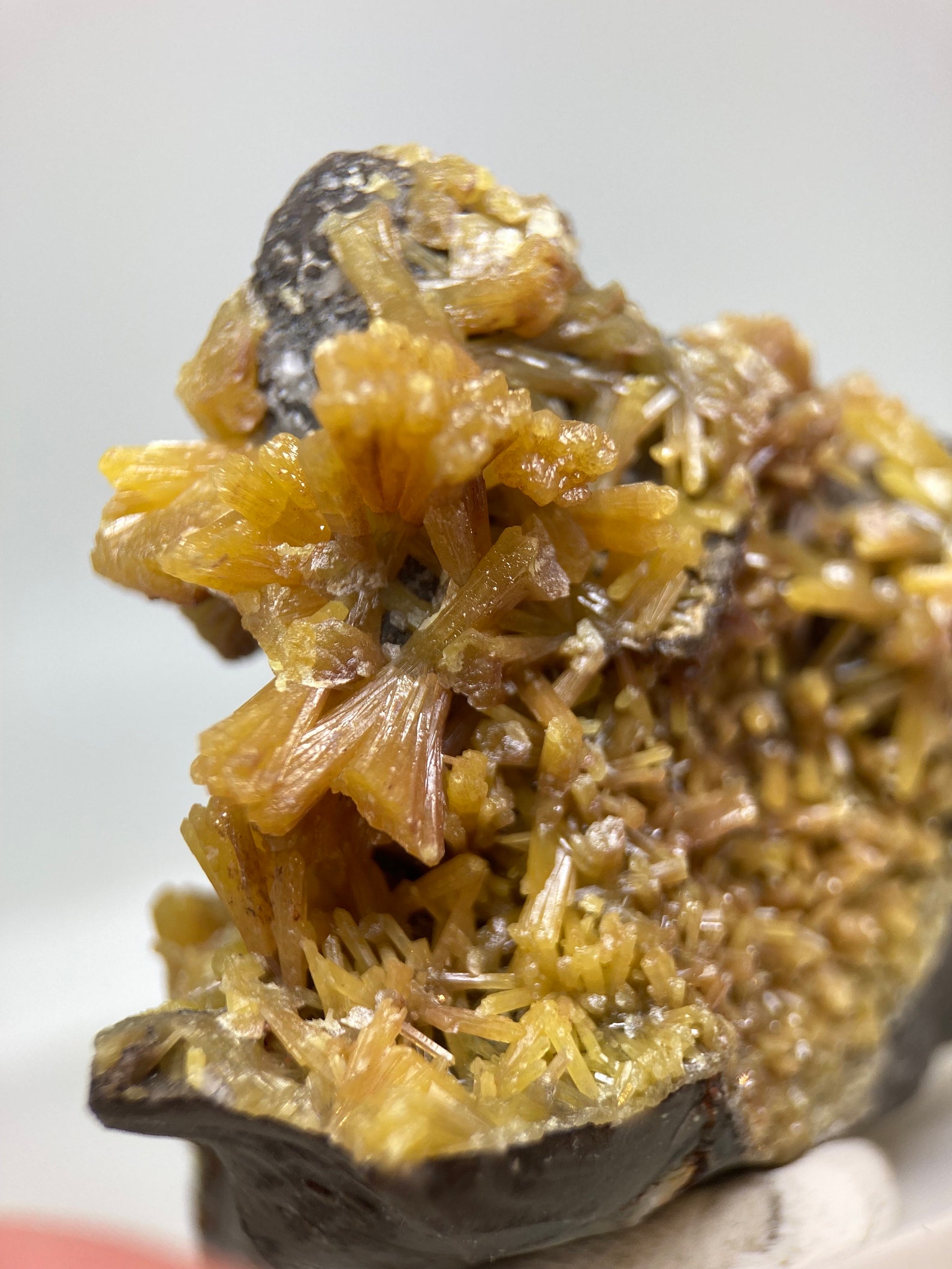 Large Mimetite Crystal Cluster, From Mexico, From Old Collection With ...