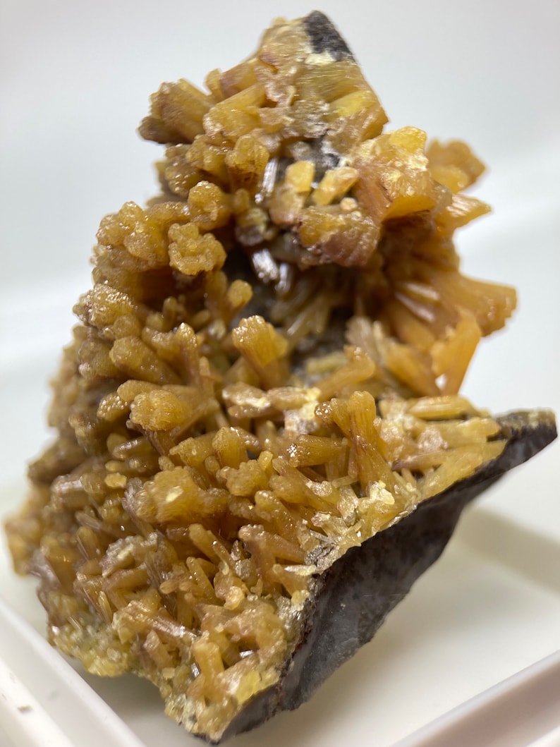 Large Mimetite Crystal Cluster, From Mexico, From Old Collection With ...