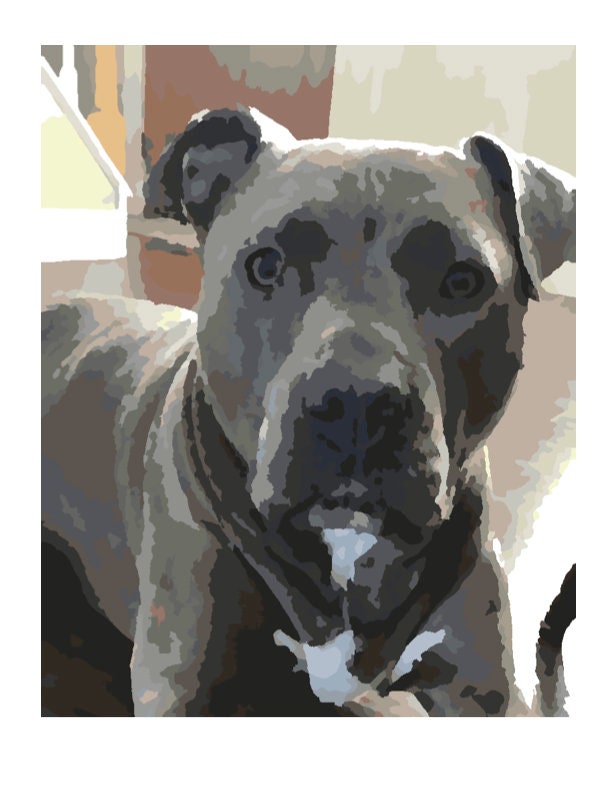Pet Color by Number | Color by Number Adult | Paint by Number Printable ...