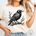 Raven on Tree Branch Svg | Raven Download, Halloween Svg | Digital ...