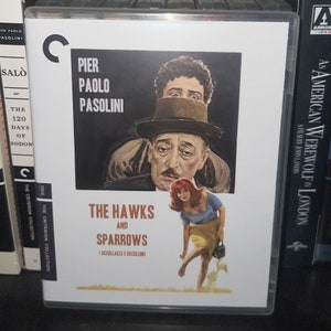 Pasolini 101 Collection Cases (no Disk) CRITERION COLLECTION [pier ...