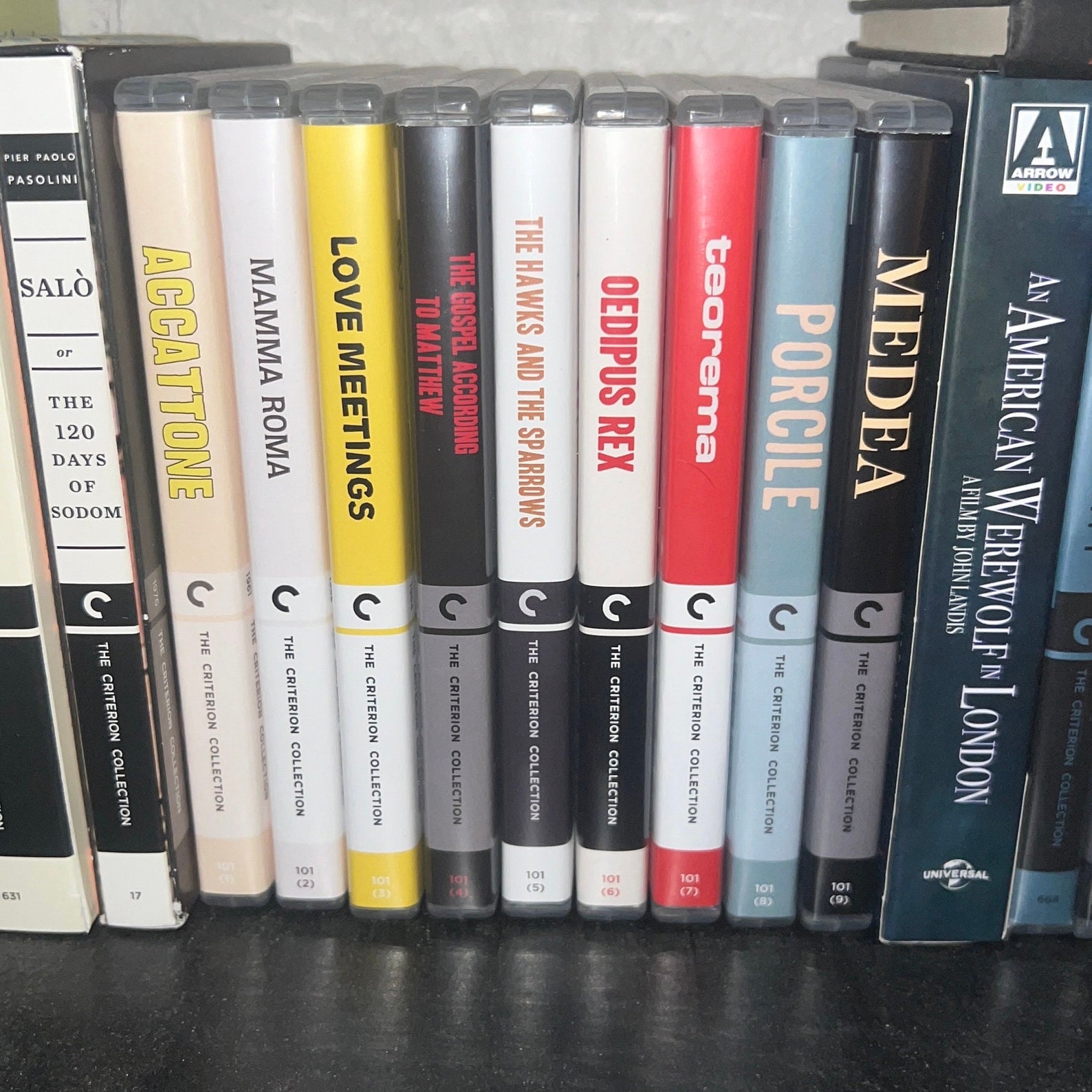 Pasolini 101 Collection Cases (no Disk) CRITERION COLLECTION [pier ...