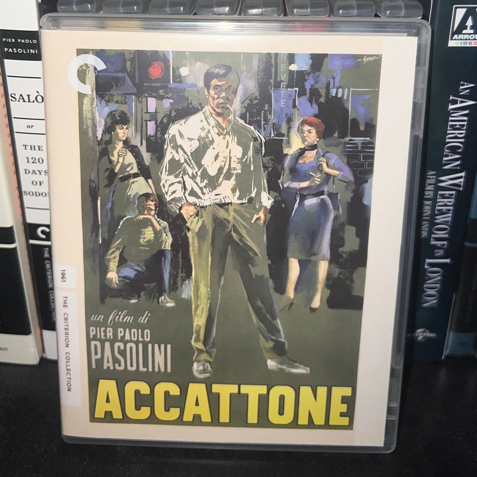 Pasolini 101 Collection Cases (no Disk) CRITERION COLLECTION [pier ...