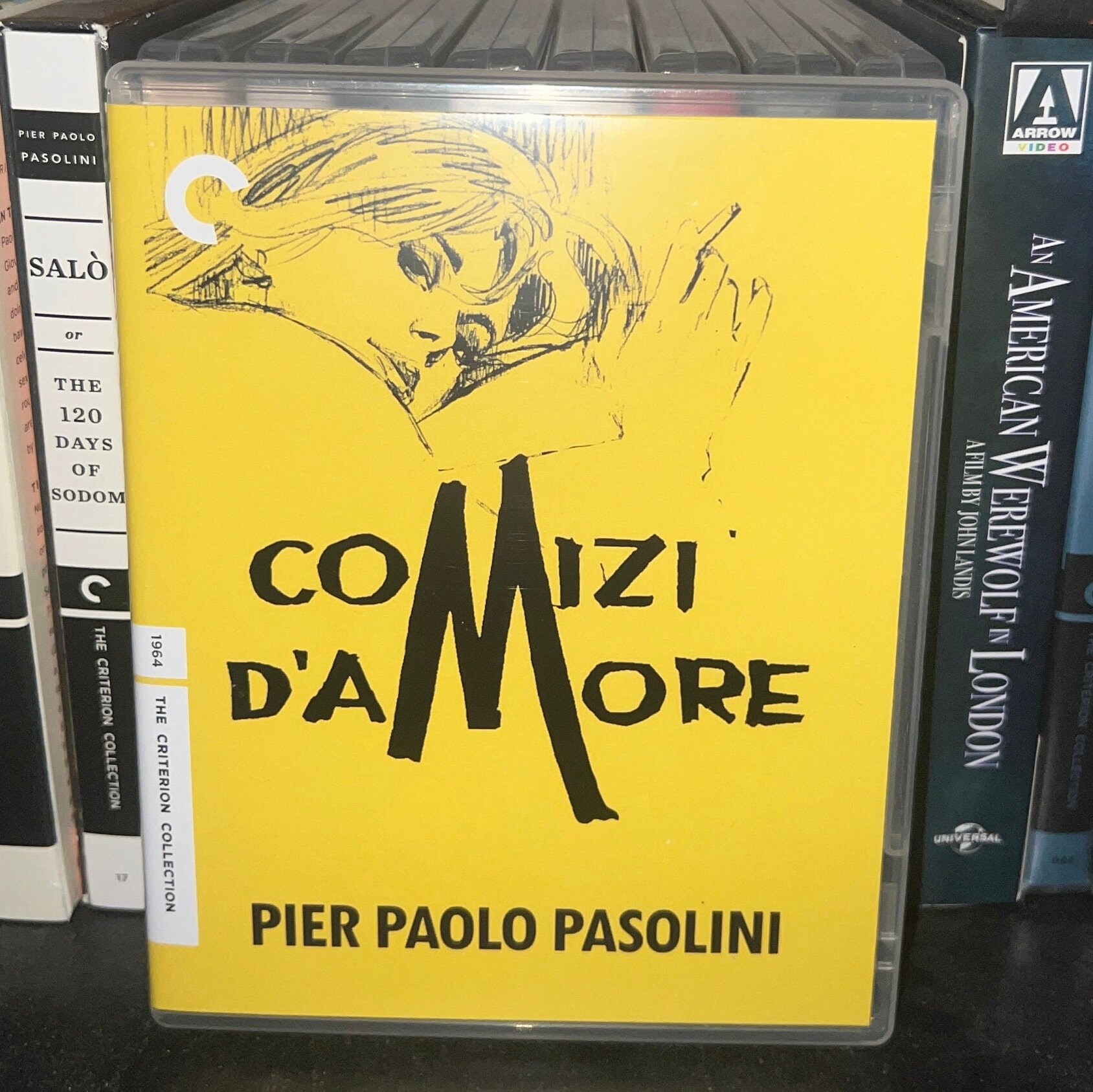 Pasolini 101 Collection Cases (no Disk) CRITERION COLLECTION [pier ...