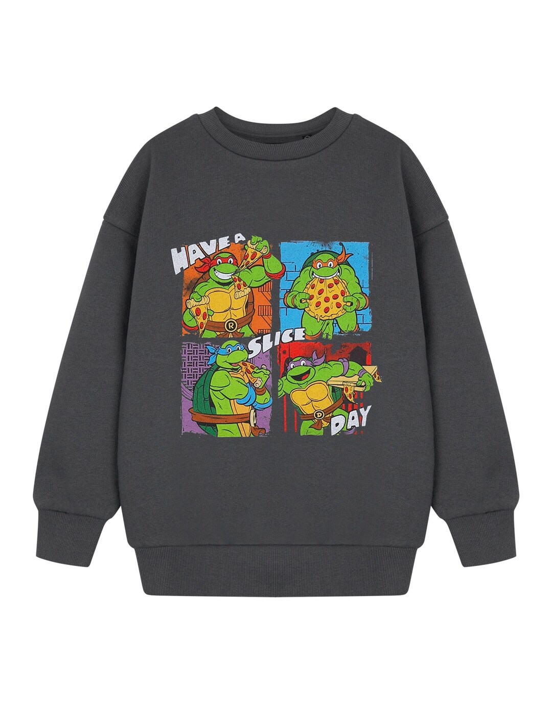 Teenage Mutant Ninja Turtles Boys Grey Sweatshirt Have A Slice Day ...