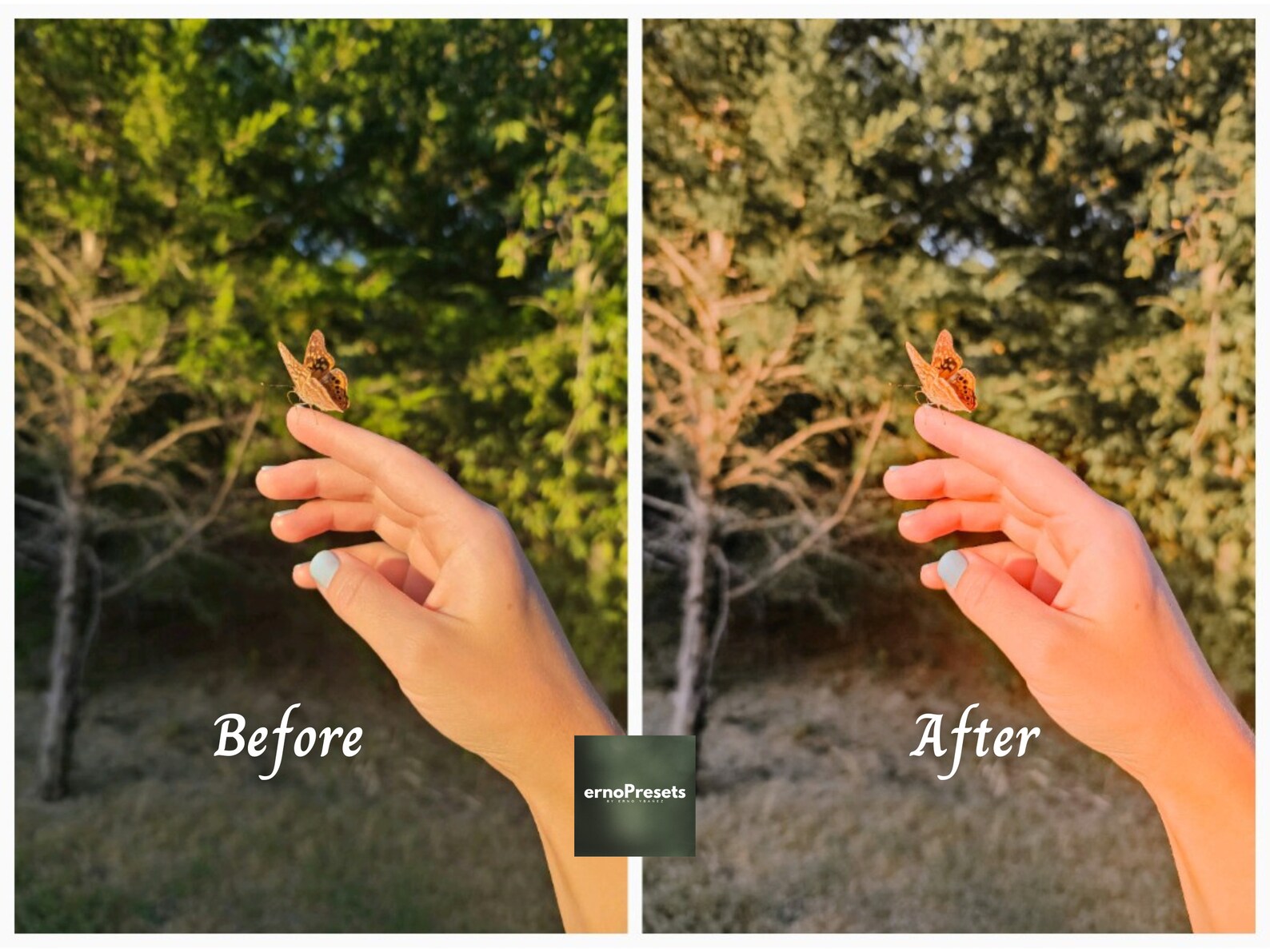 20 Warm and Bright Lightroom Mobile & Desktop Presets, Bright and Sunny ...