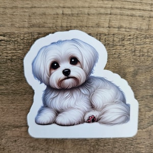 Maltese Dog Sticker - Etsy