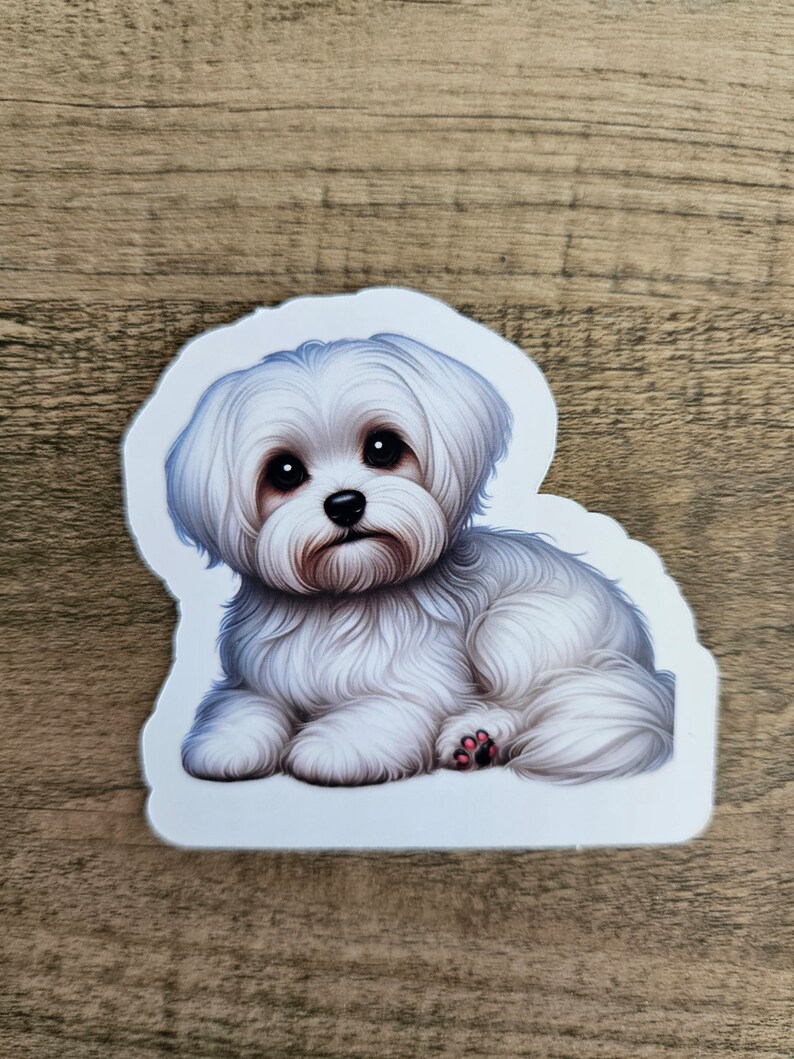 Maltese Dog Sticker - Etsy