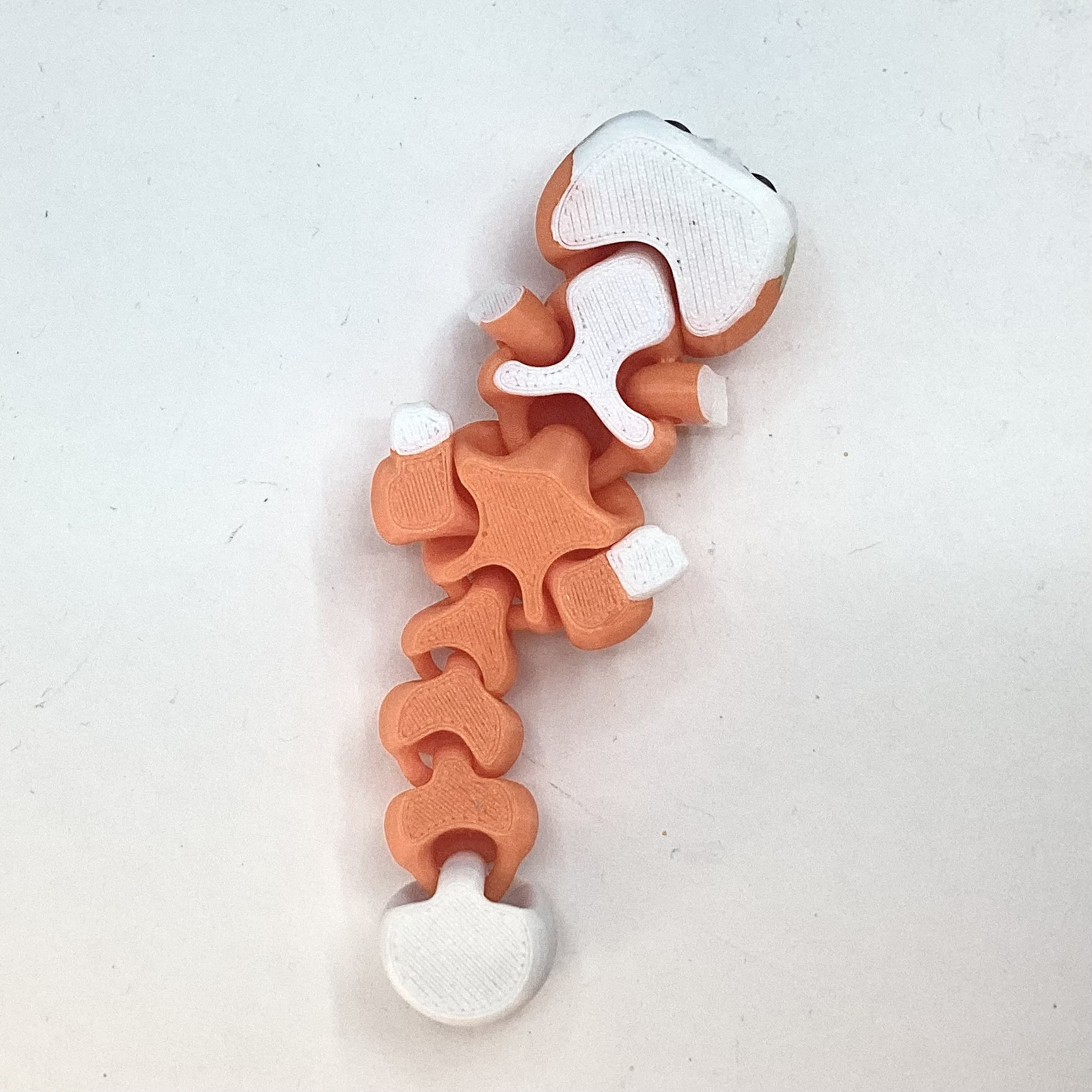 Tabby Cat Flexi Kitty Fidget Toy Articulated Desk Decor, Gift for Kids ...