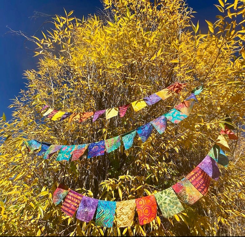 Southwestern Cactus Prayer Flags: Boho Patio Decor (6ft), Lizard and ...