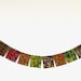 Southwestern Cactus Prayer Flags: Boho Patio Decor (6ft), Lizard and ...