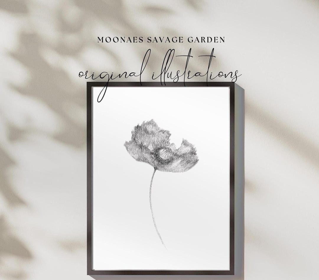 Hand-drawn Poppy Flower Print: Printable Vintage Botanical Wall Art ...