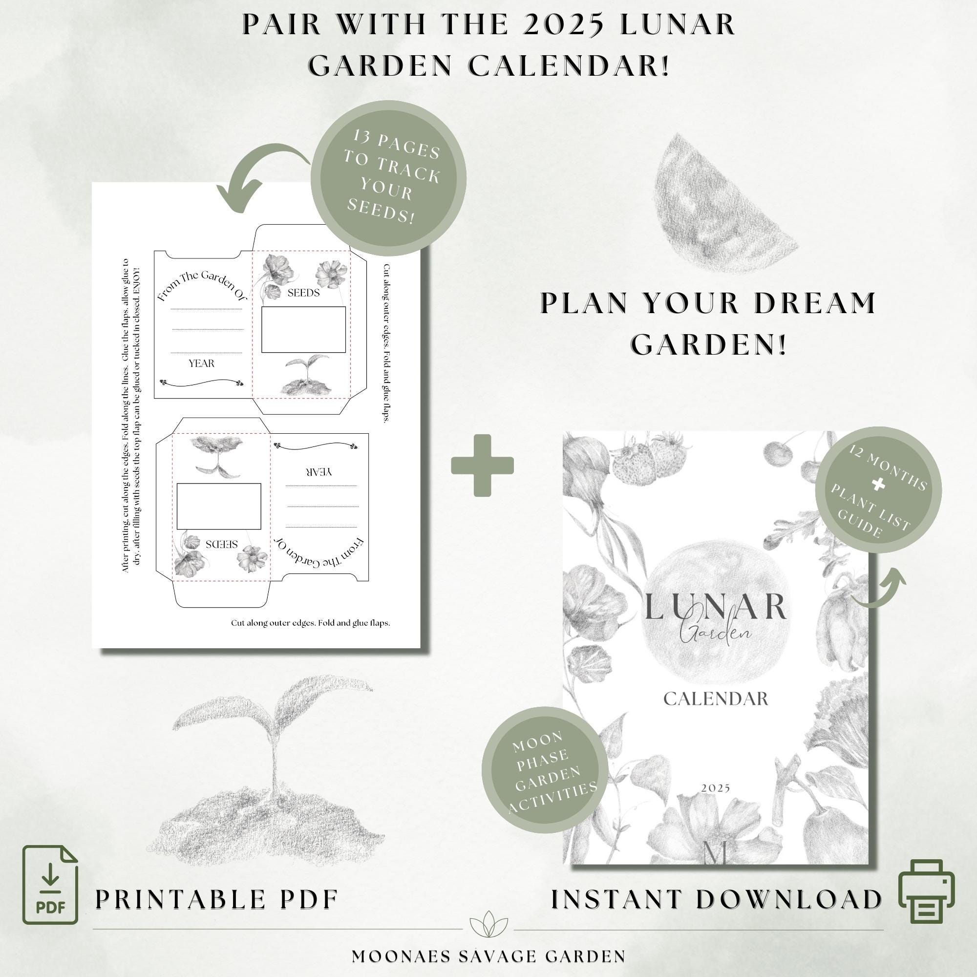 Hand Drawn Seed Packet Template: DIY Seed Saving Envelopes (PDF) - Etsy