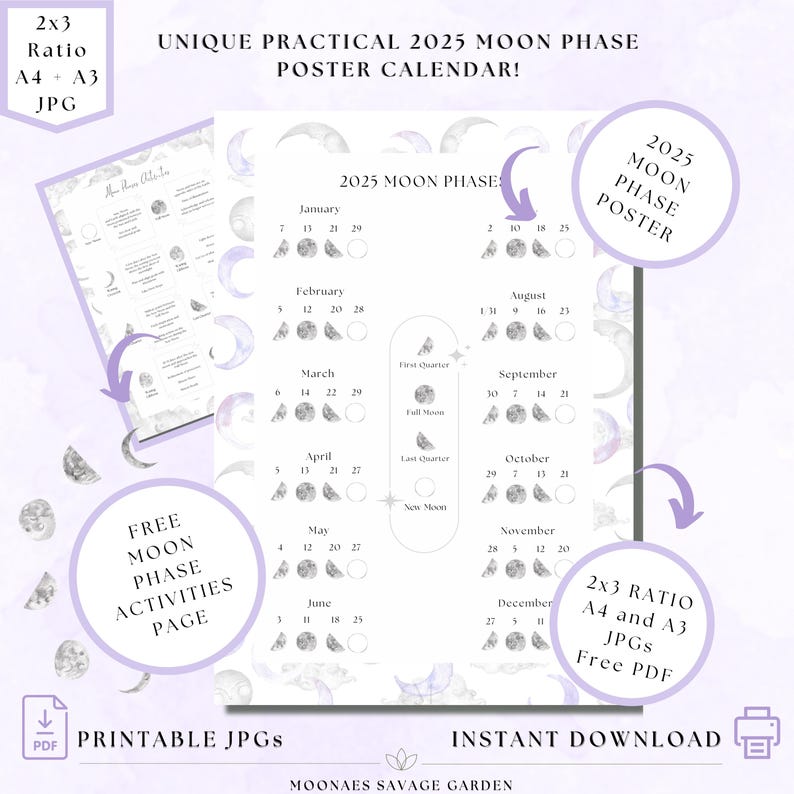 Cartaz do Calendário das Fases da Lua 2025: Arte Lunar Desenhada à Mão ...