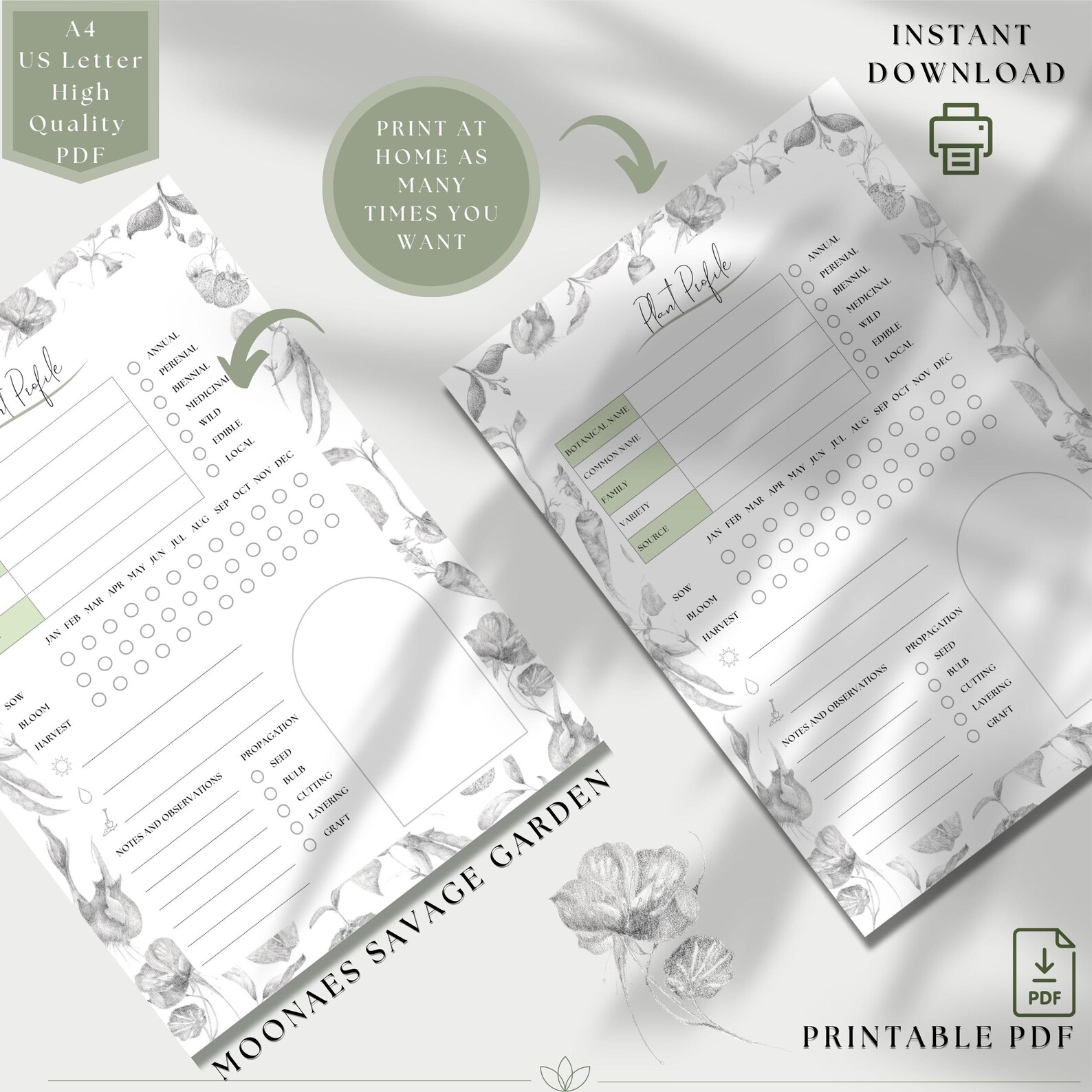 Printable Plant Profile Card | Botanical Plant Profile Page | A4 and US ...