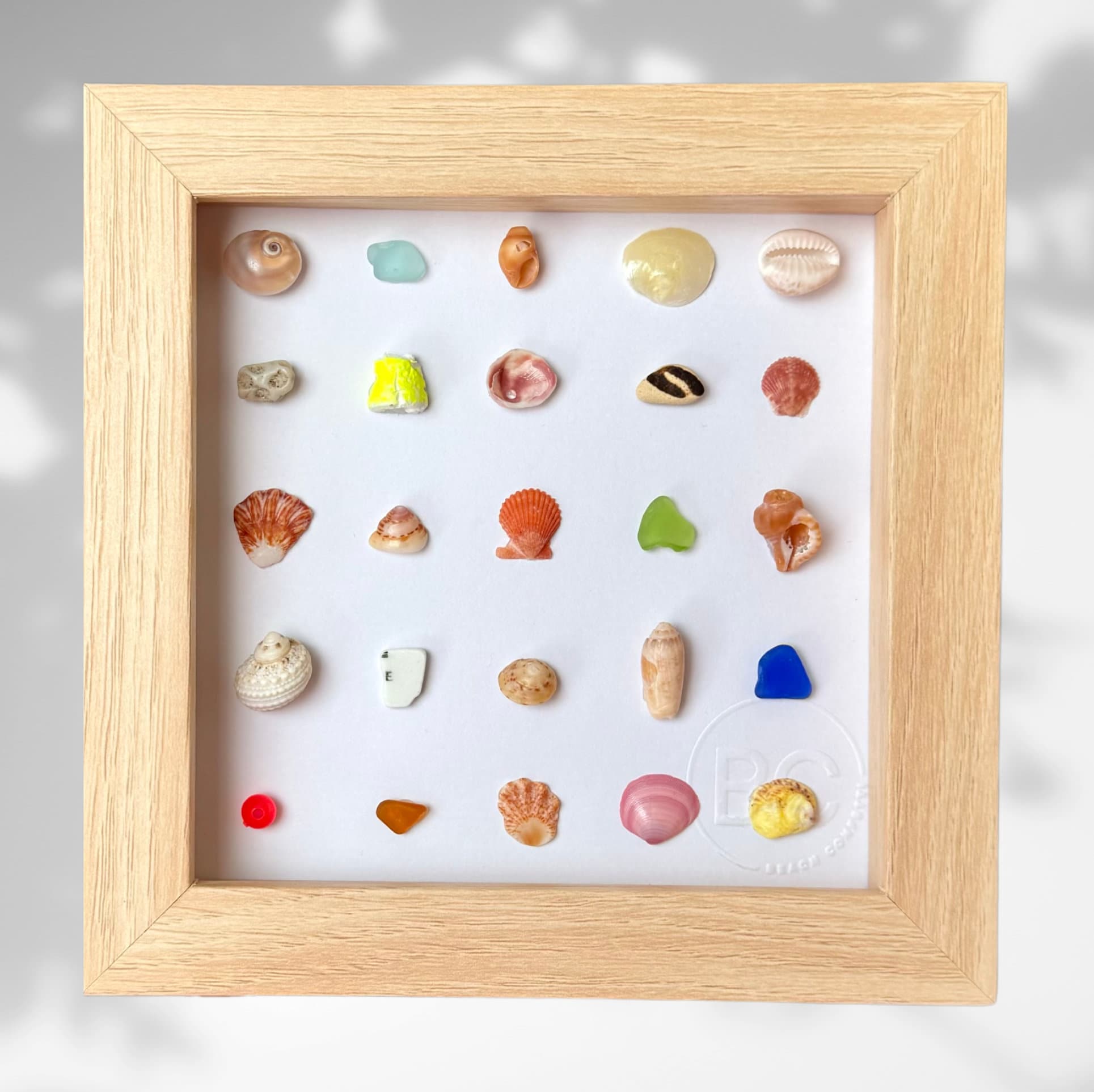 5 Shell and Sea Glass Grid - Etsy