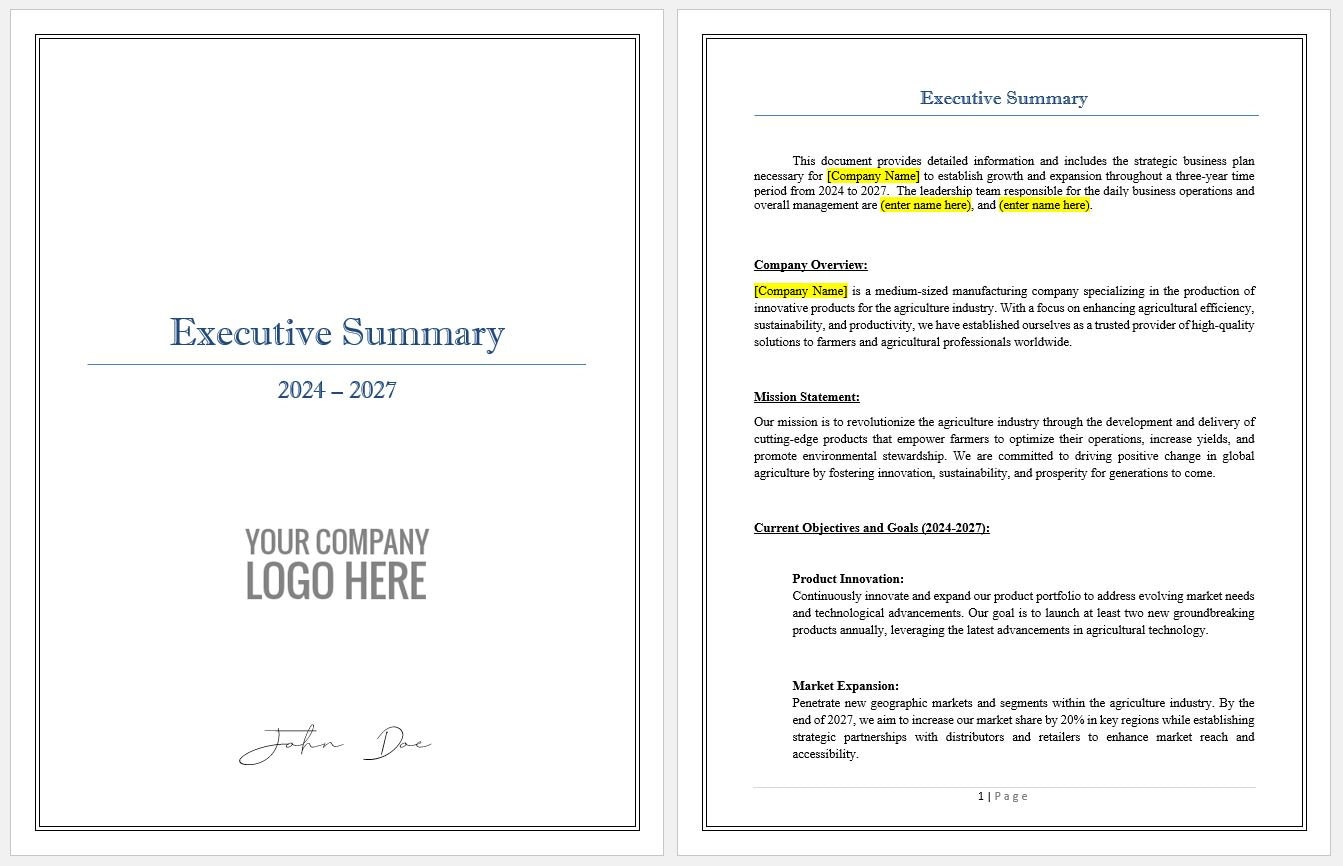 Executive Summary Template - 3 Year Plan - Example Format - Etsy