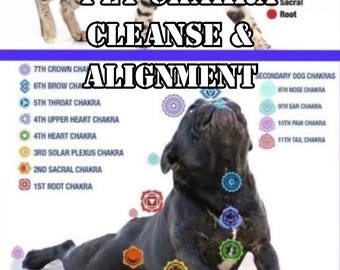 Full Body Chakra Cleanse & Alignment - Etsy