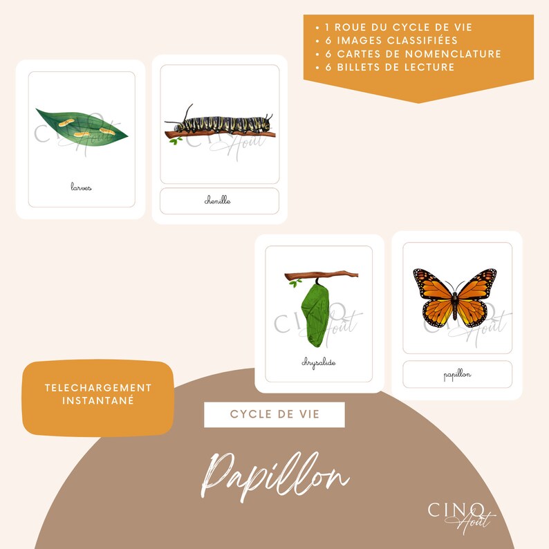 Butterfly Life Cycle Wheel, Educational Game, Nomenclature Cards ...