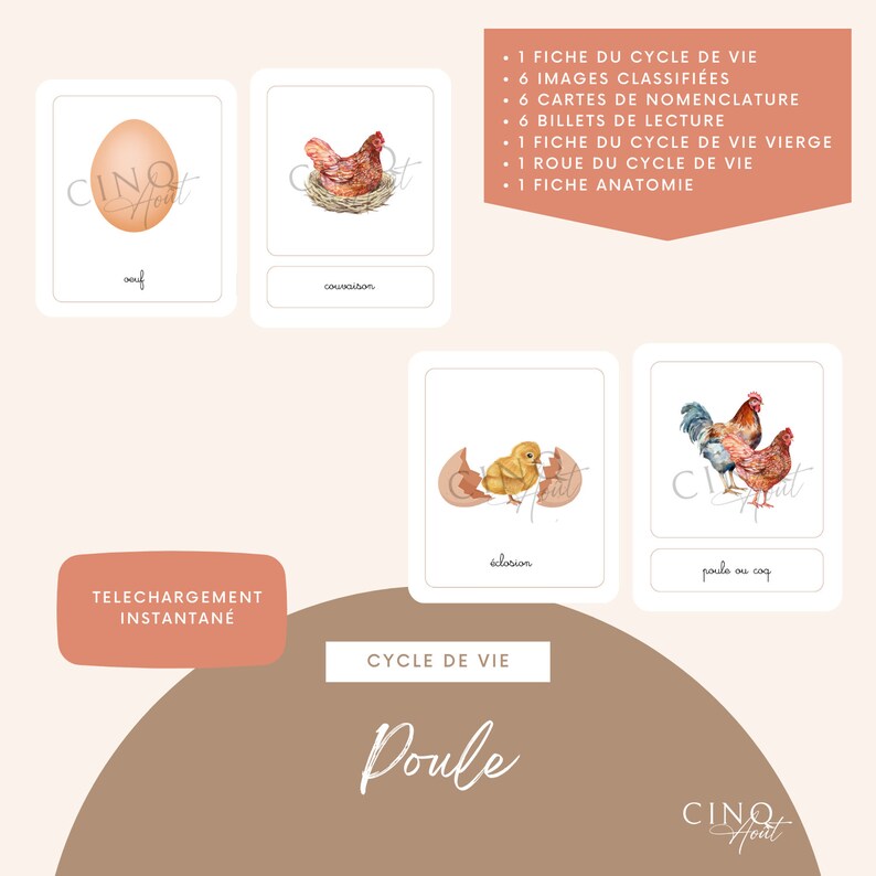 Complete Kit - Hen Life Cycle, Educational Game, Nomenclature Cards ...