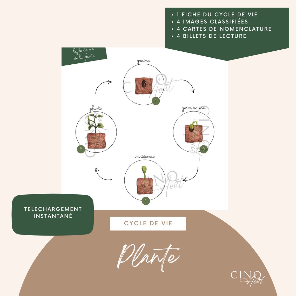 Basics - Plant Life Cycle, Educational Game, Nomenclature Cards ...