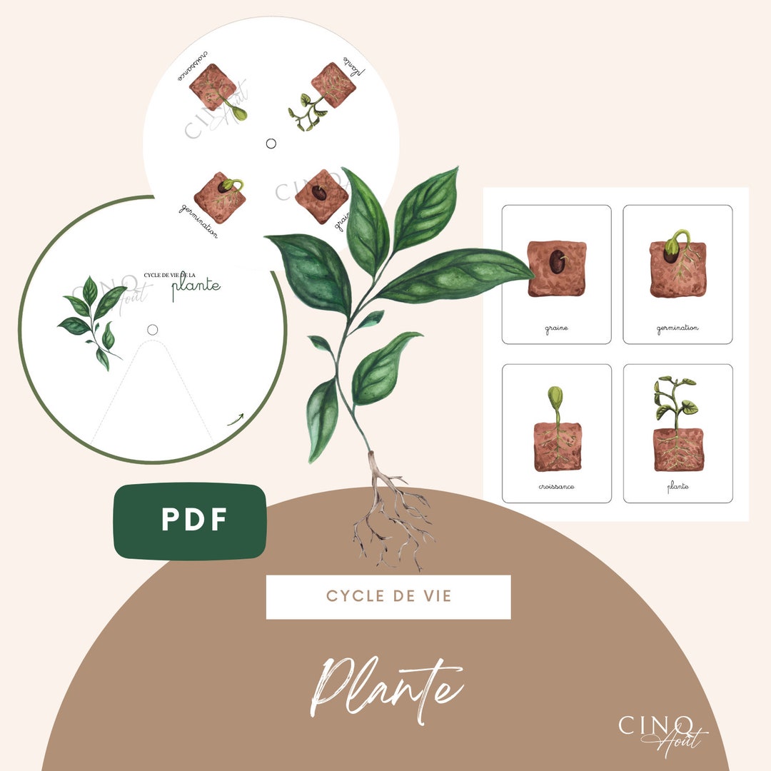 Wheel - Plant Life Cycle, Educational Game, Nomenclature Cards ...