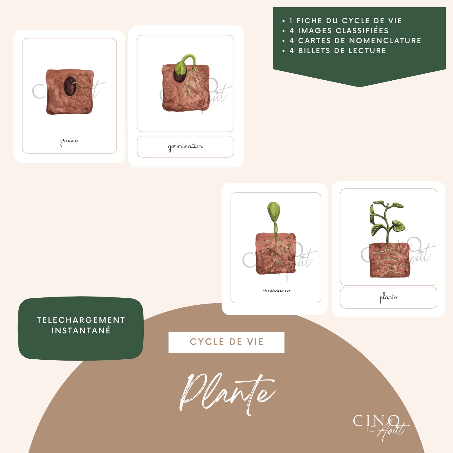 Basics - Plant Life Cycle, Educational Game, Nomenclature Cards ...