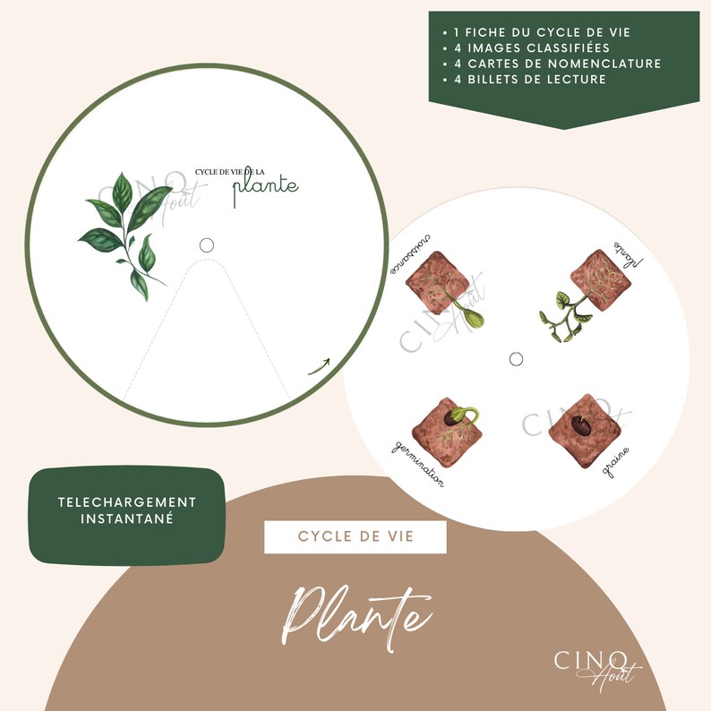 Wheel - Plant Life Cycle, Educational Game, Nomenclature Cards ...