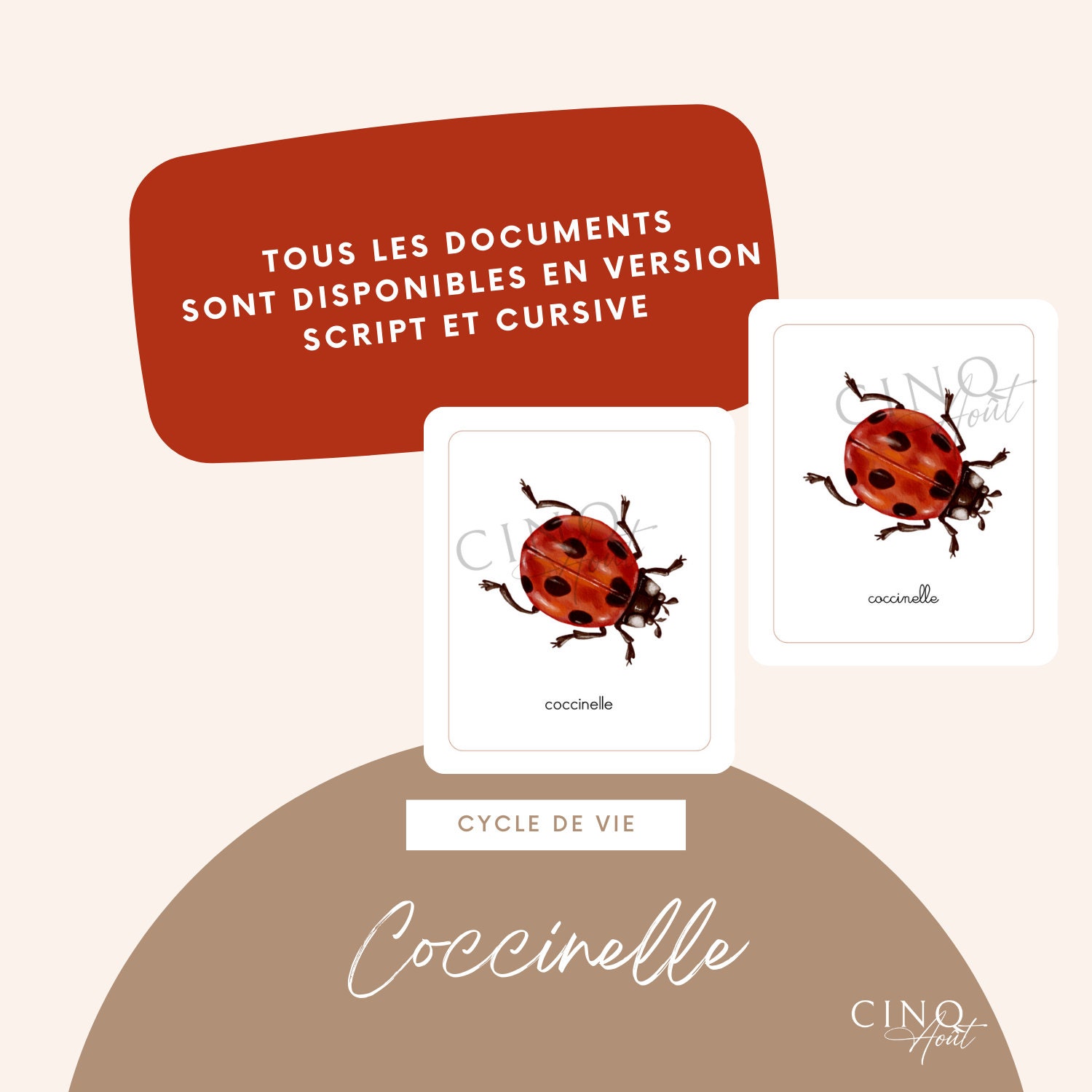 Wheel - Ladybug Life Cycle, Educational Game, Nomenclature Cards ...