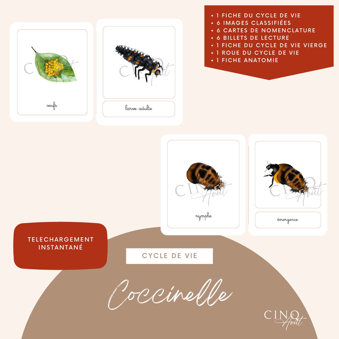 Complete Kit - Ladybug Life Cycle, Educational Game, Nomenclature Cards ...