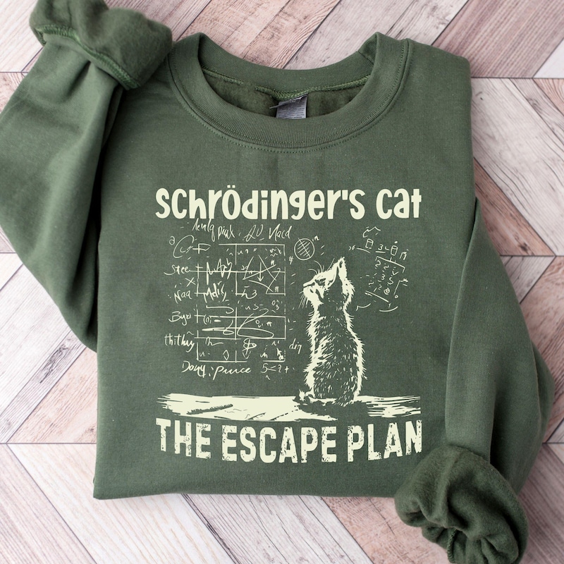 Funny Physics Sweatshirt - Etsy