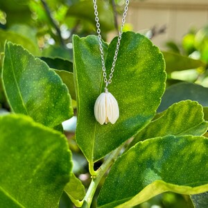 Delicate Hawaii Charm Necklace Gift for Girlfriend Gold Necklace Hawaii ...