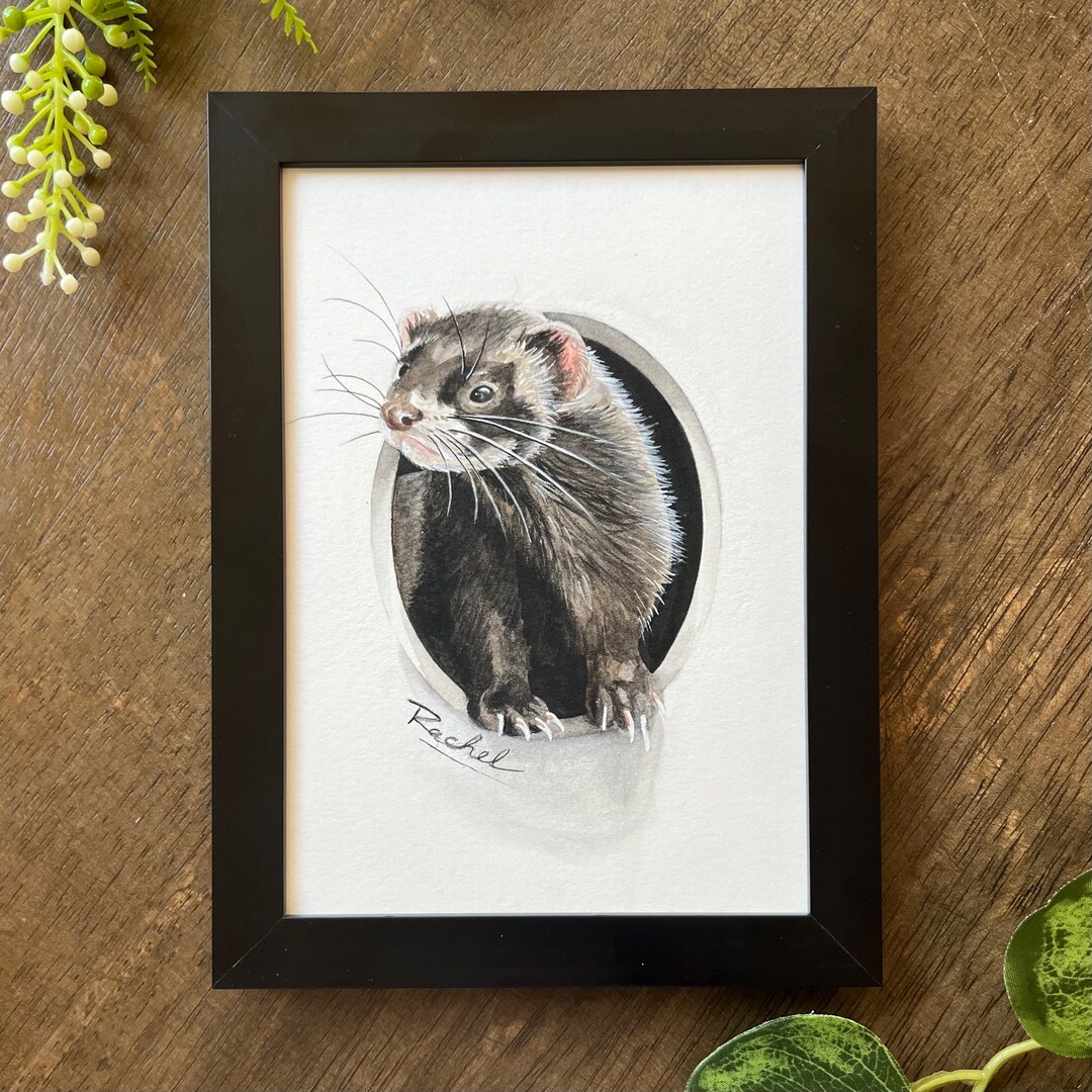Ferret #2 - Original Painting - Etsy