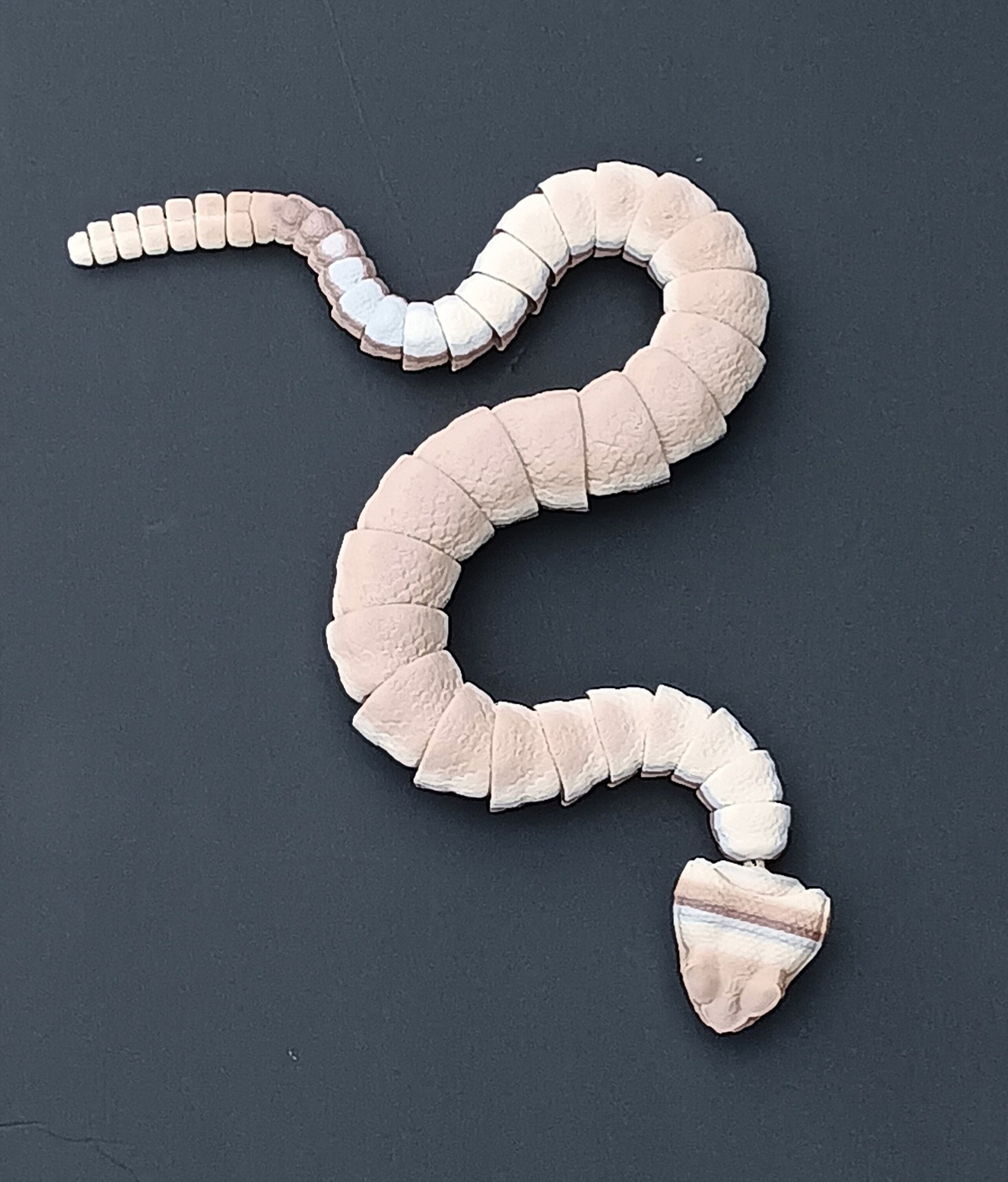 3D Printed Articulated Rattle Snake Designed by Matmire Makes - Etsy