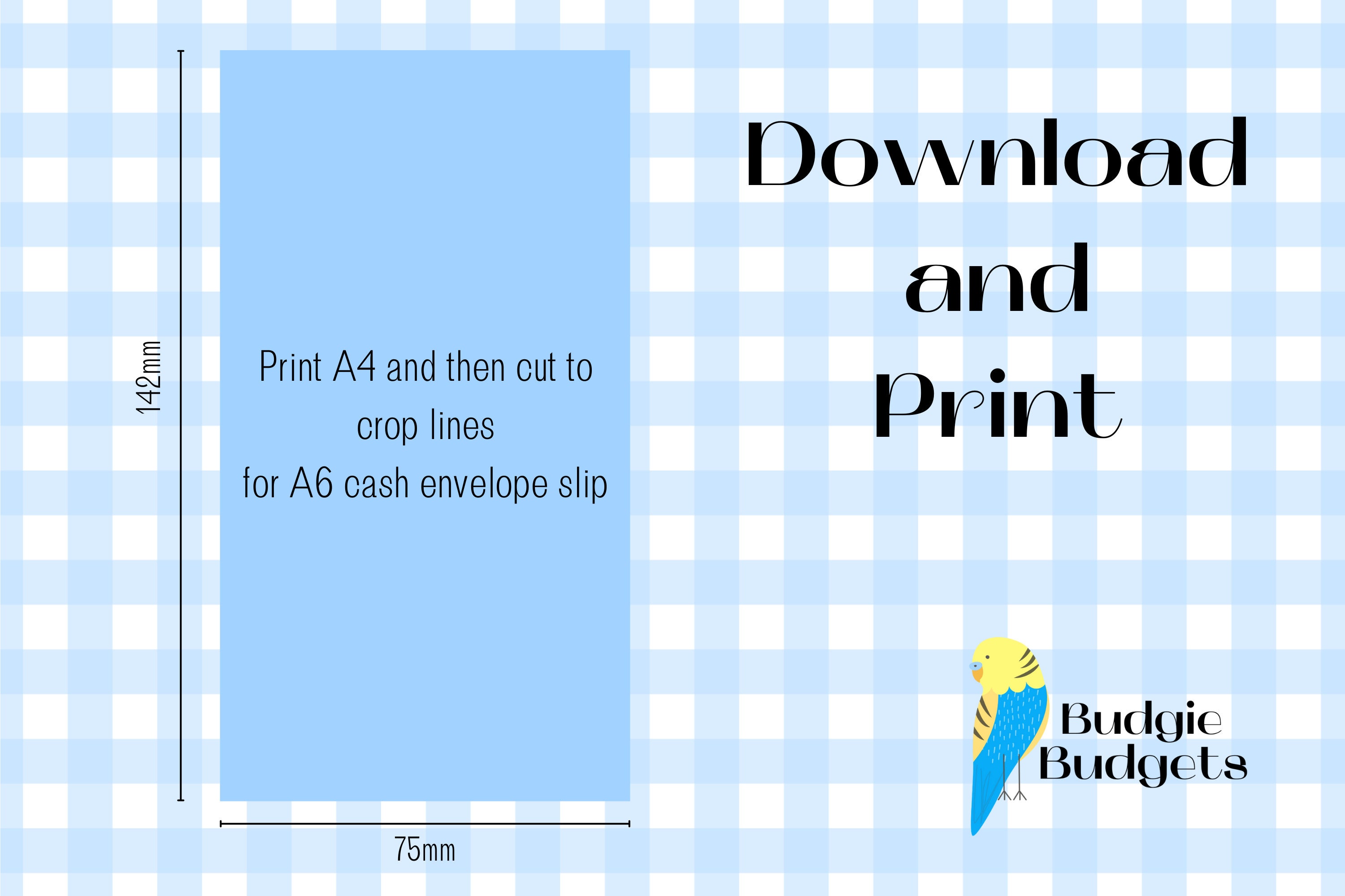 Annual Subscriptions Savings Tracker Custom A6 Cash Envelope Insert ...