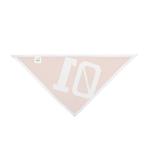 Zenless Zone Zero Bangboo Eous Themed Pet Bandana | Cute Dog Subtle ...