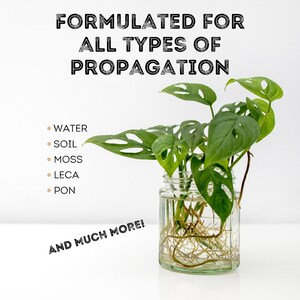 Market Botany Prop Drops - Liquid Propagation Supplement, Root Growth ...