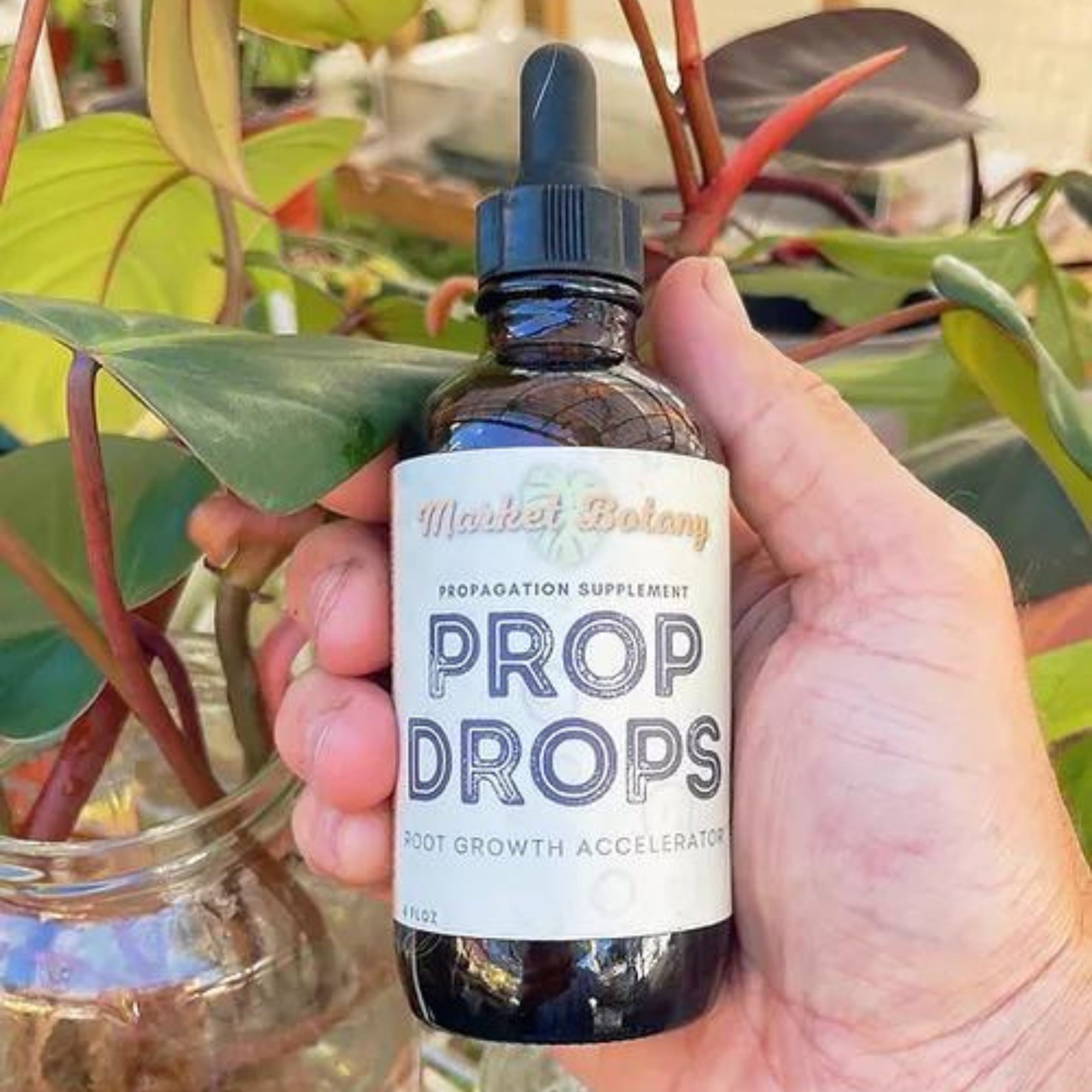 Market Botany Prop Drops - Liquid Propagation Supplement, Root Growth ...